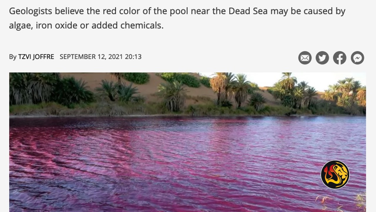 Pool Of Water Near Dead Sea Turns Blood Red, Authorities Investigating ...